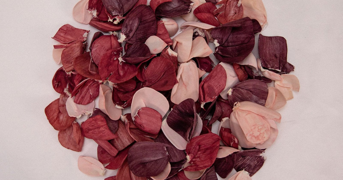 100 Petal Pack - Love Story – Sola-Flowers