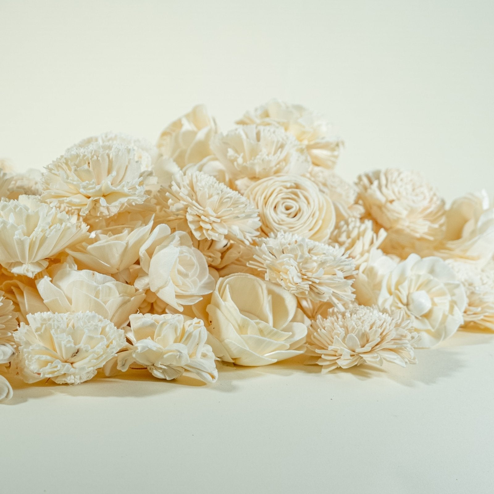 100 Random Assortment (No Bark) – Sola-Flowers