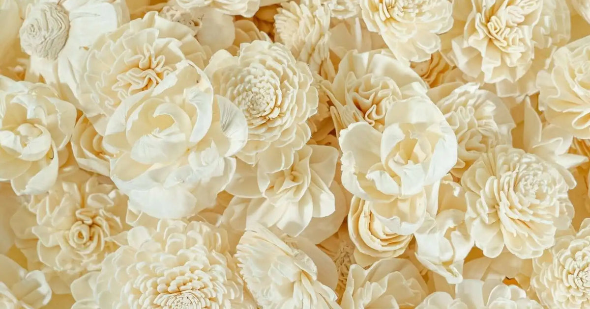 100 Random Assortment (No Bark)** – Sola-Flowers