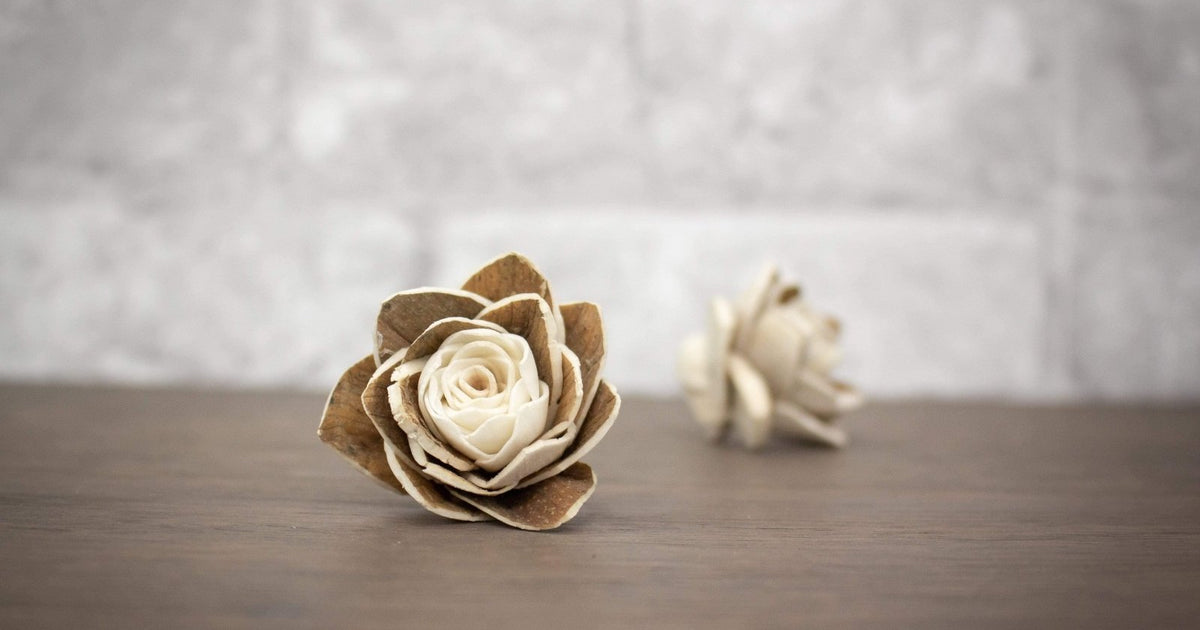 1.5" Finley (10 Pack) – Sola-Flowers