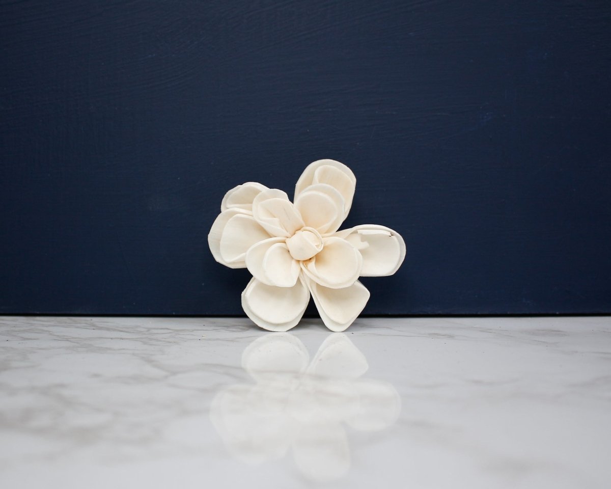 2" Dainty Daisy (10 pack) – Sola Wood Flowers