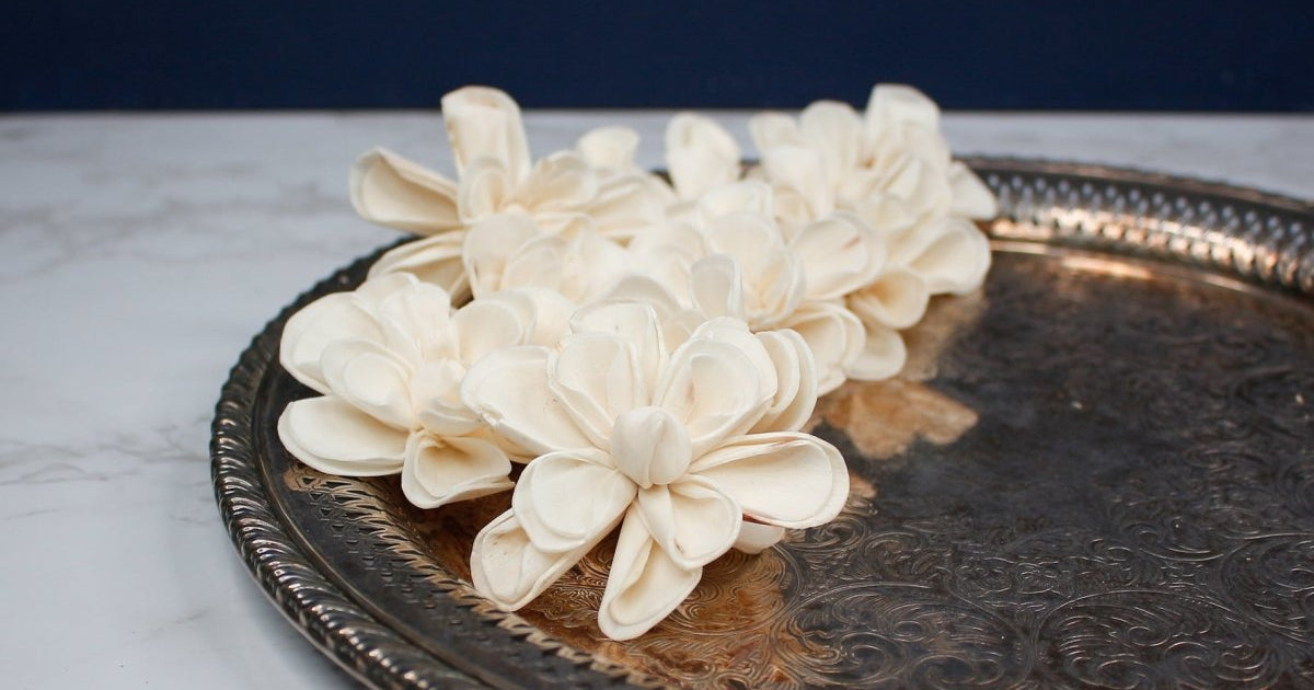 2" Dainty Daisy (200 pack) – Sola Wood Flowers
