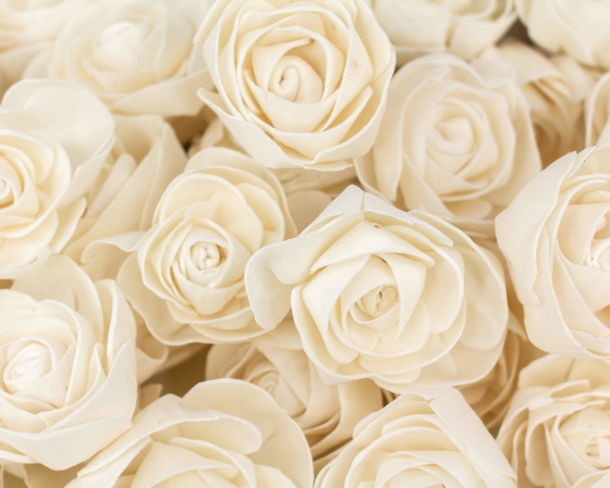 2" Dear Holly - 50 Pack – Sola Wood Flowers