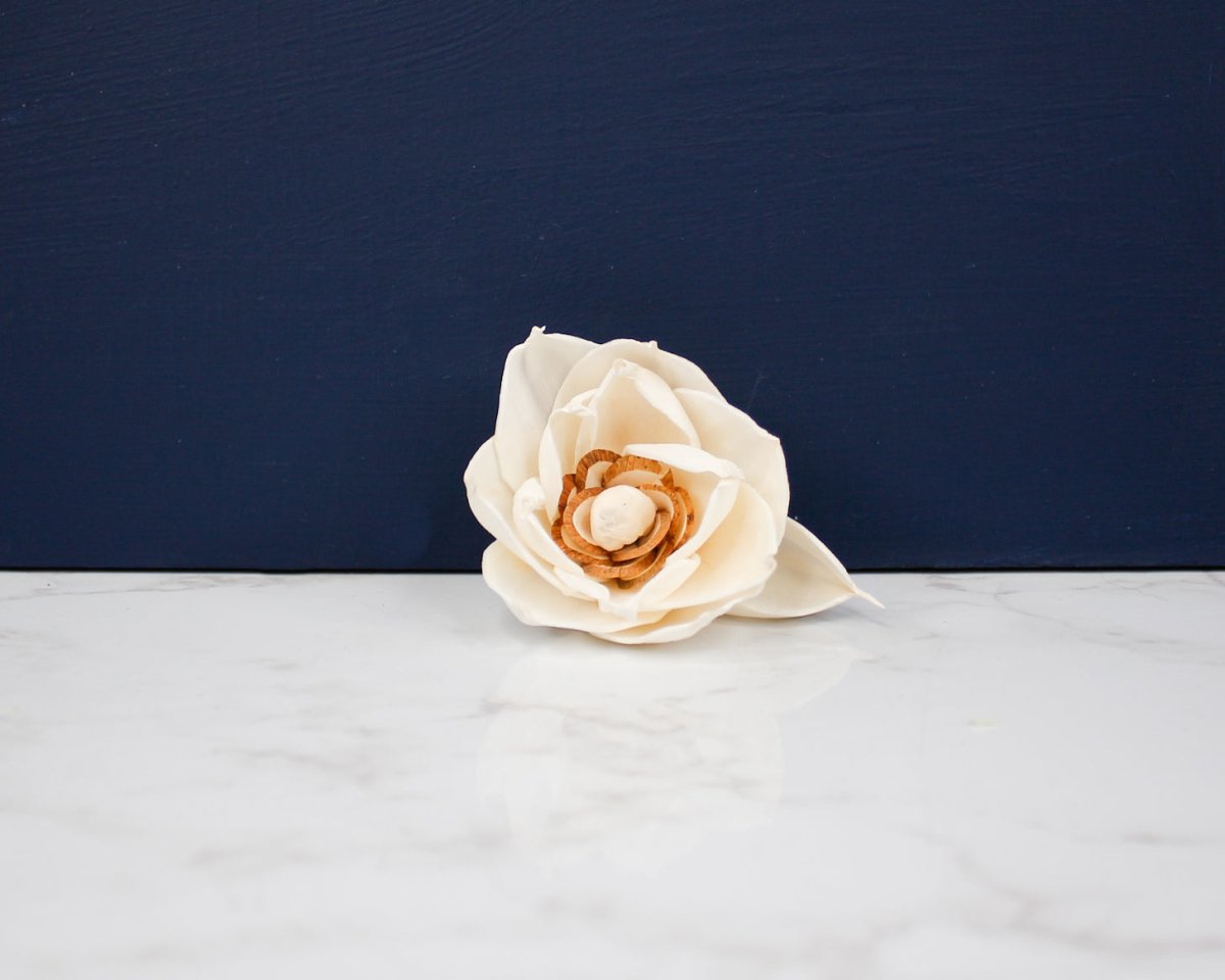 2" Gail (10 Pack) – Sola-Flowers