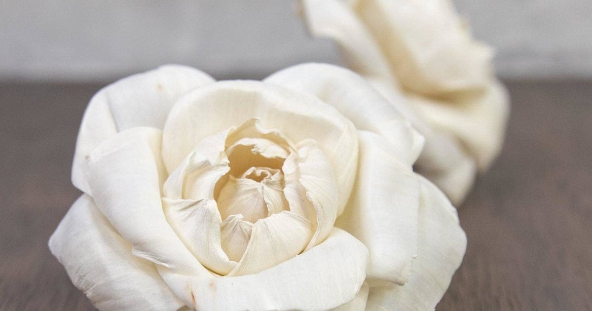 2" Ravishing Rose (10 Pack) – Sola-Flowers