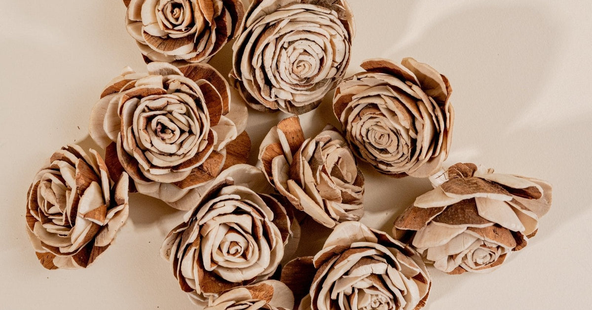 2" Wesley (10 pack) – Sola-Flowers