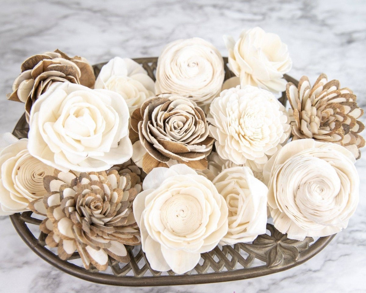 3" - 50 Random Assortment – Sola-Flowers