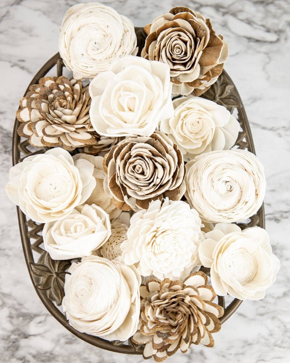 3" - 50 Random Assortment – Sola-Flowers