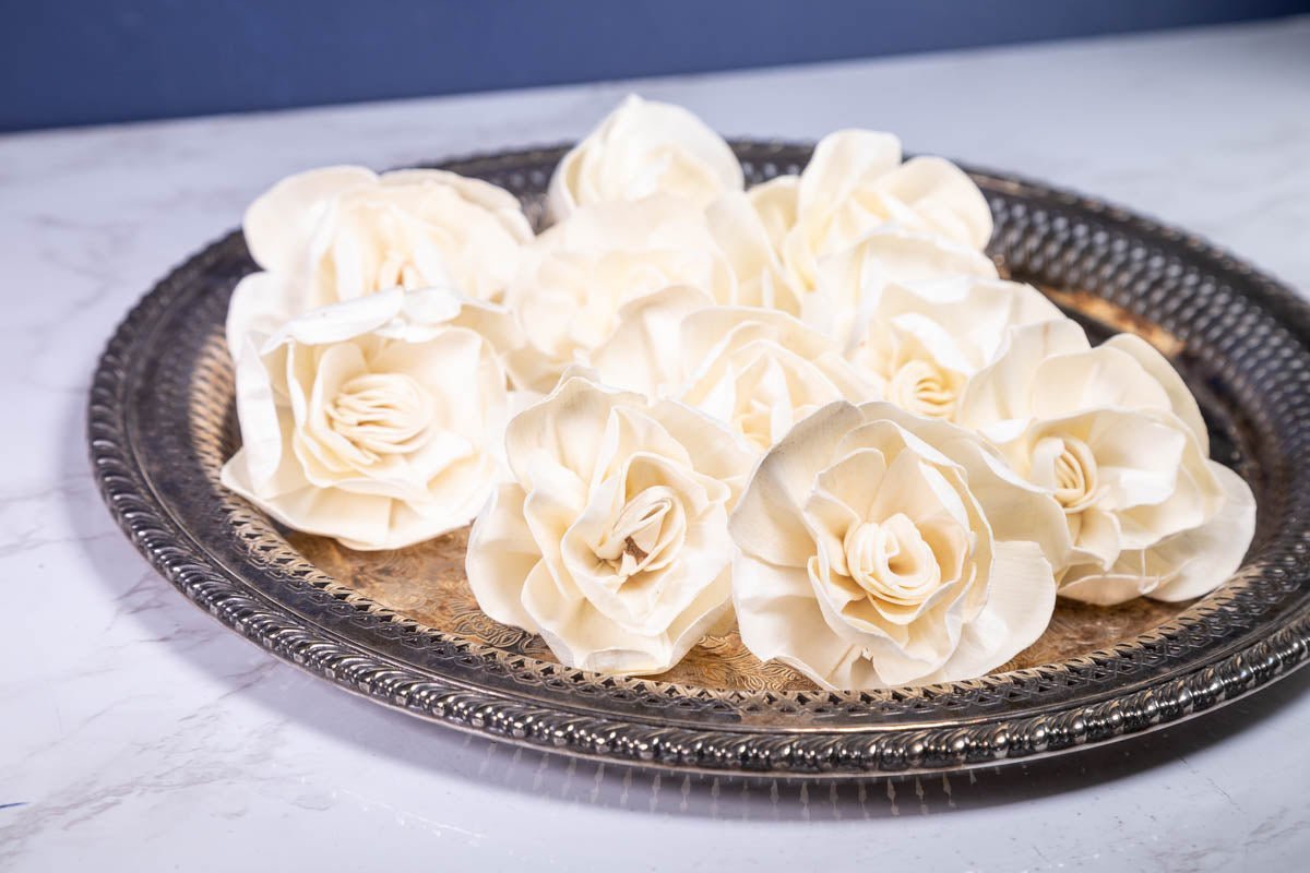 3" Aimee Gardenia (10 Pack) – Sola-Flowers