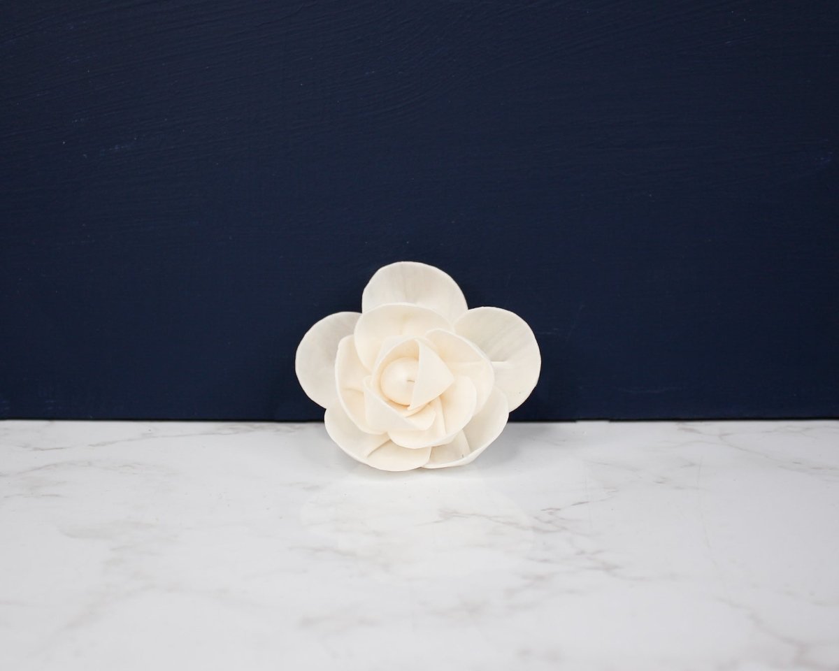 3" Amelia (10 Pack) – Sola-Flowers