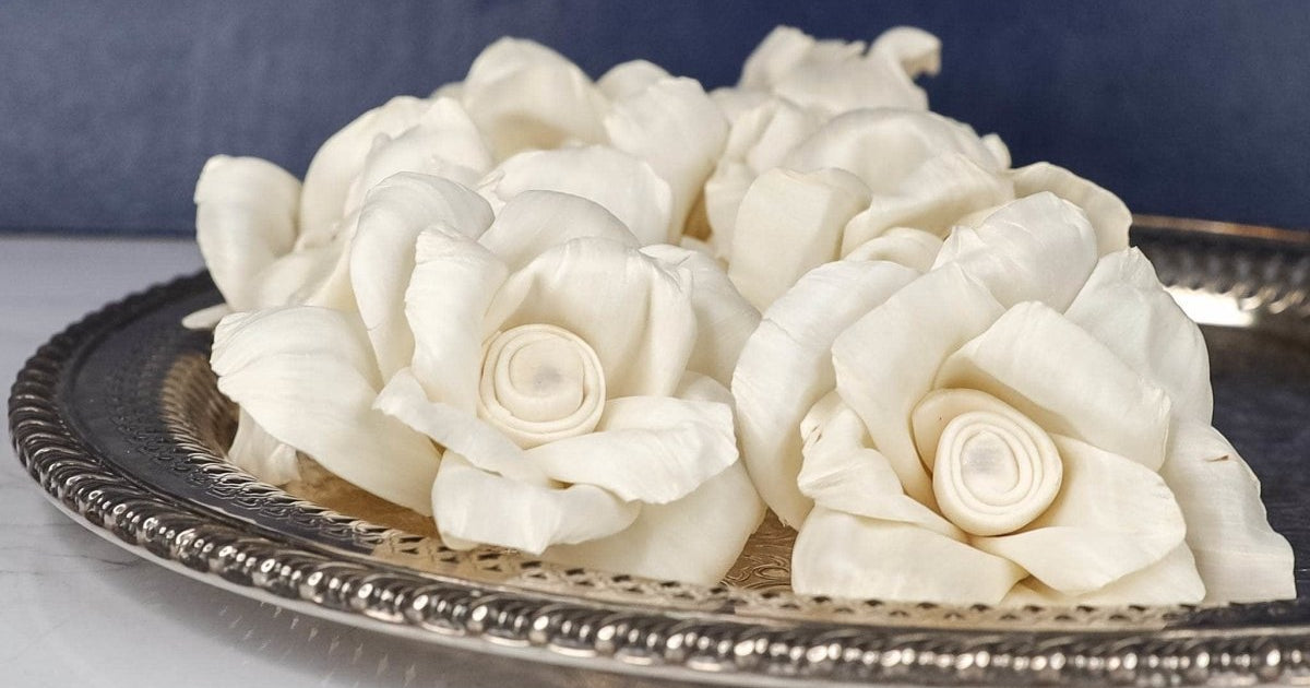 3" Astoria (200 Pack) – Sola-Flowers