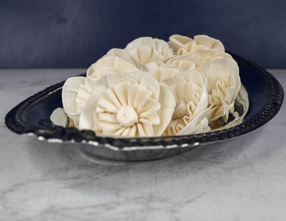 3" Beatrice (10 pack) – Sola-Flowers