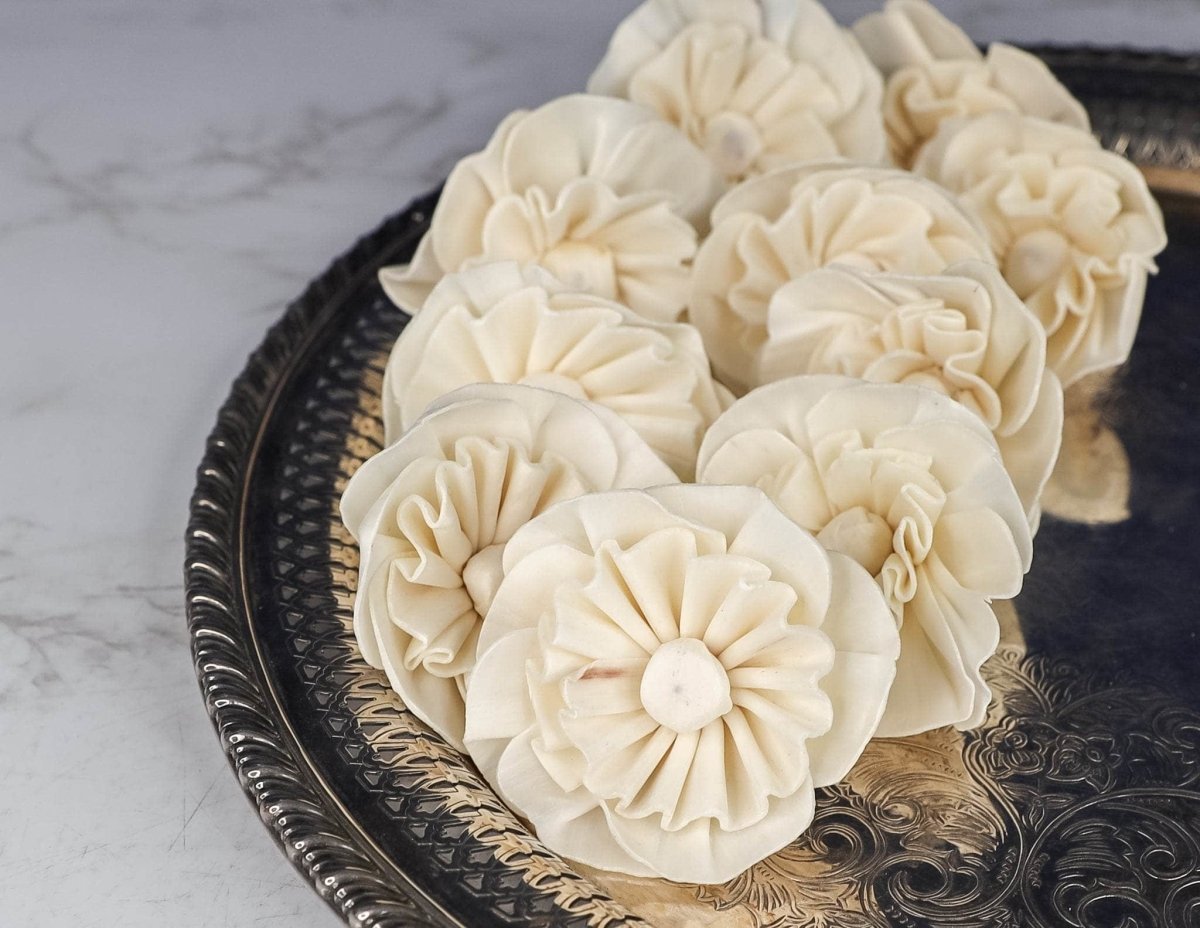 3" Beatrice (10 pack) – Sola-Flowers