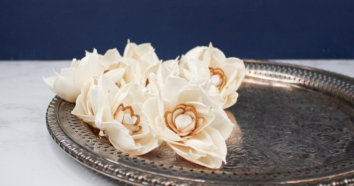 3" Gail (10 Pack) – Sola-Flowers