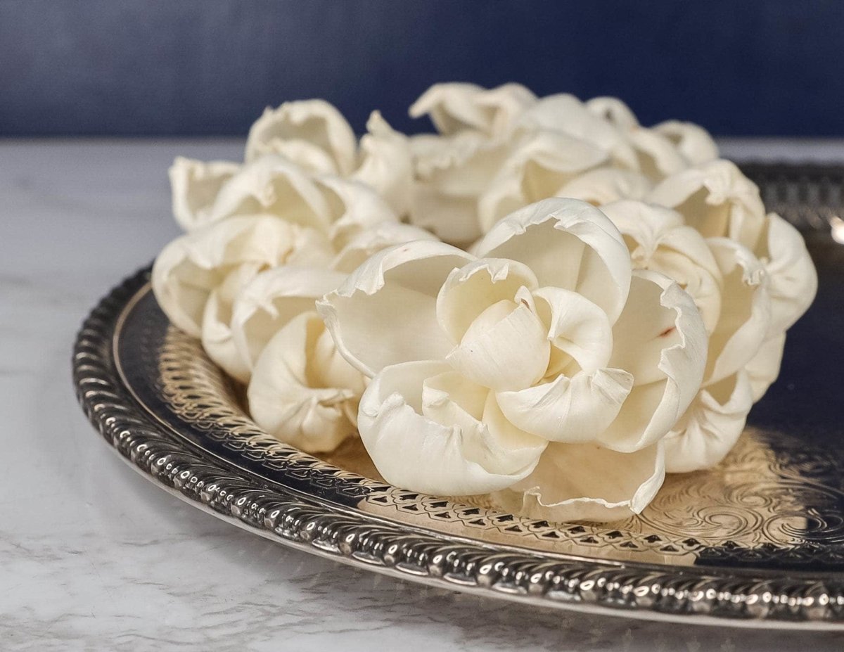 3" Lola (10 Pack) – Sola-Flowers