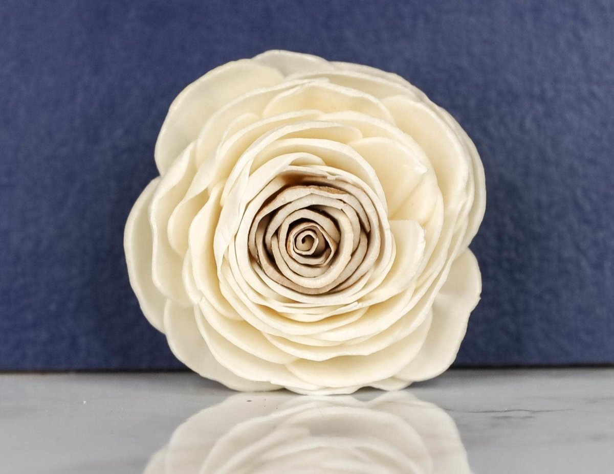 3" Mae (10 Pack) – Sola-Flowers