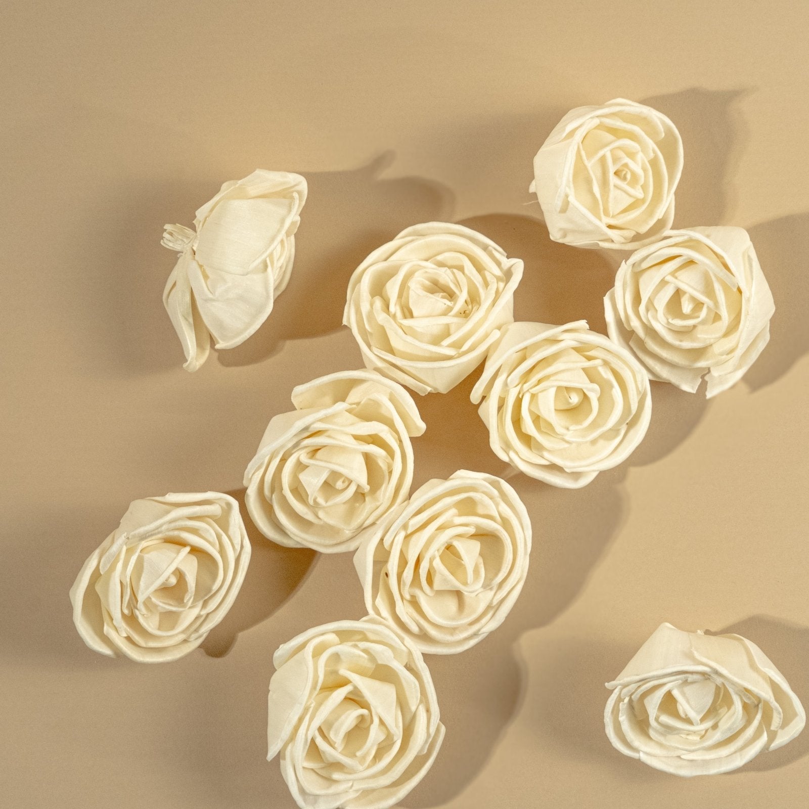 Sola Wood Flowers – Sola-Flowers