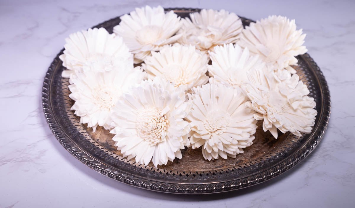 3" Oxeye Daisy (10 Pack) – Sola Wood Flowers