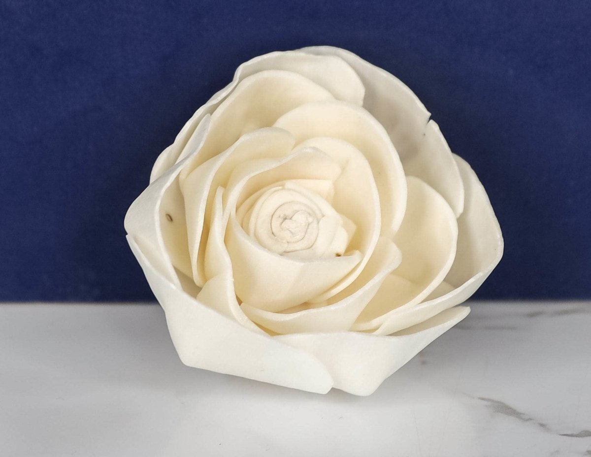 3" Poise (10 pack) – Sola-Flowers