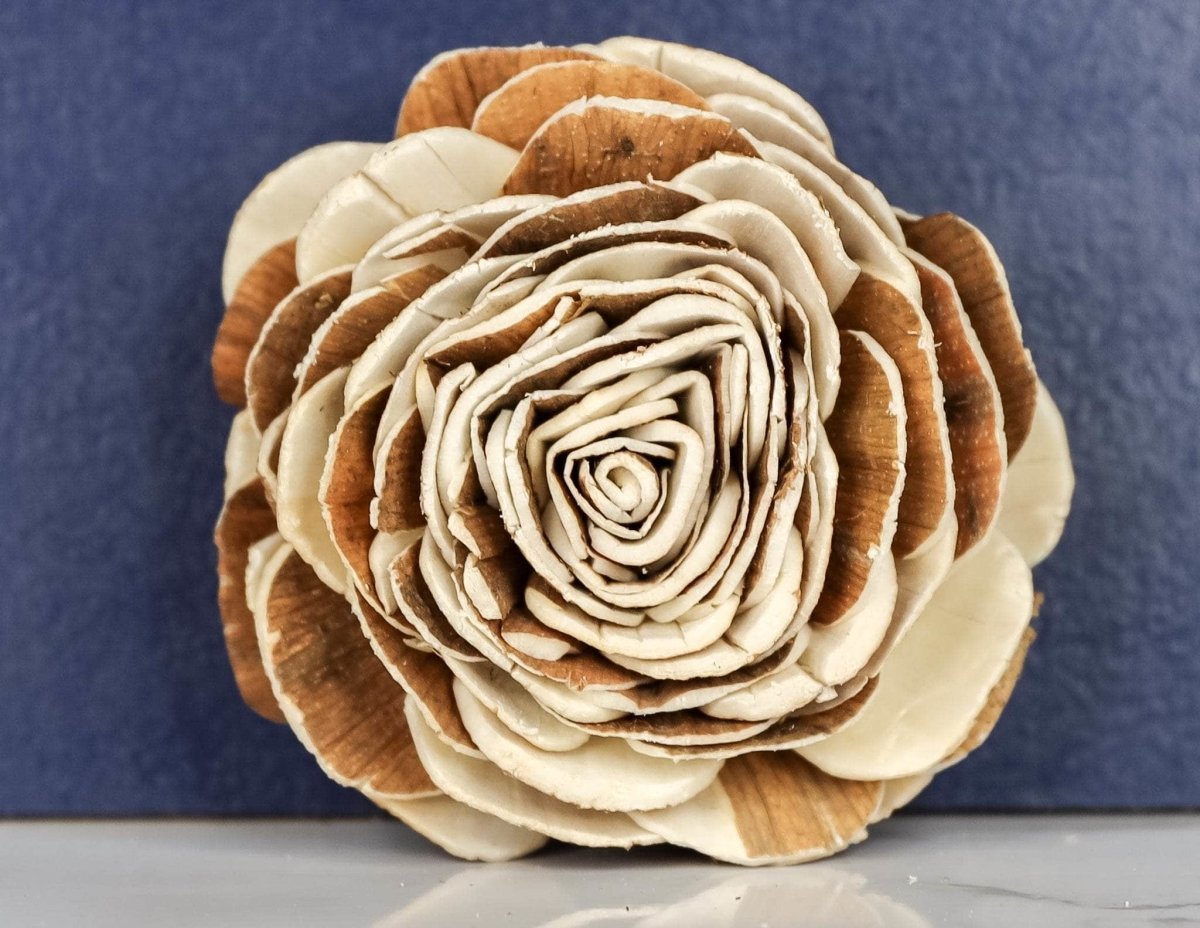 3" Wesley (400 Flower Box) – Sola Wood Flowers