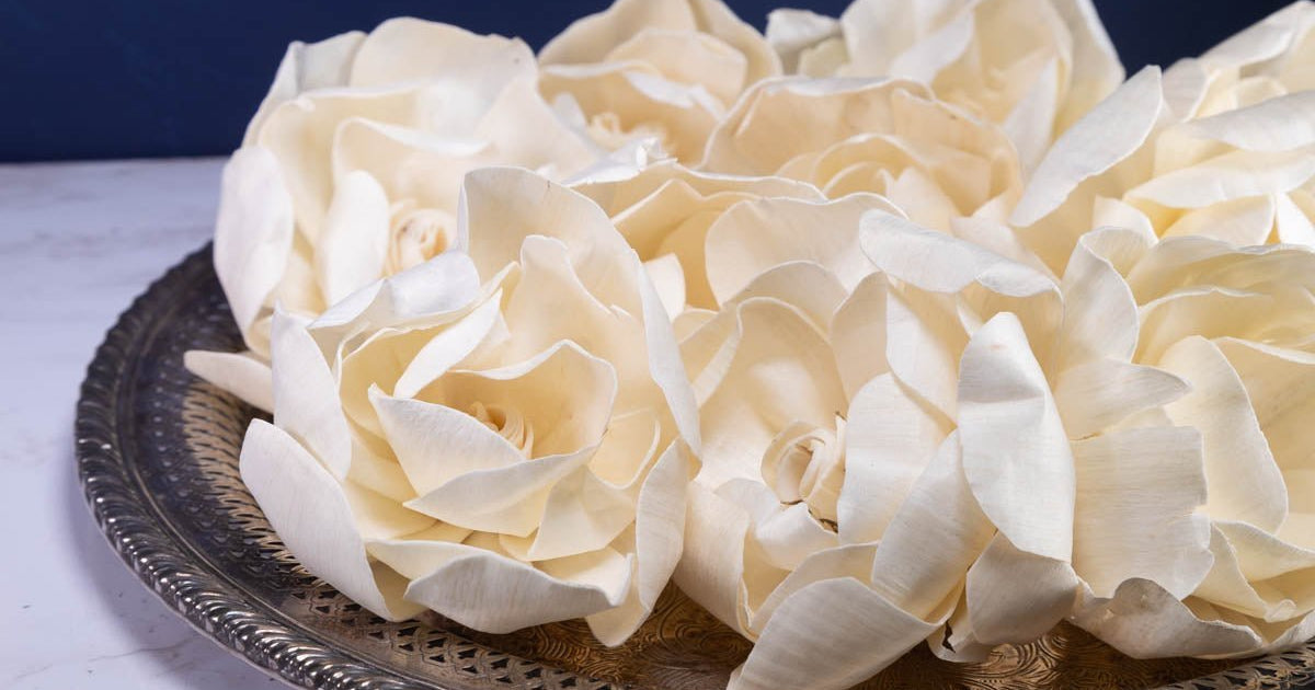 4" Aimee Gardenia (10 Pack) – Sola-Flowers