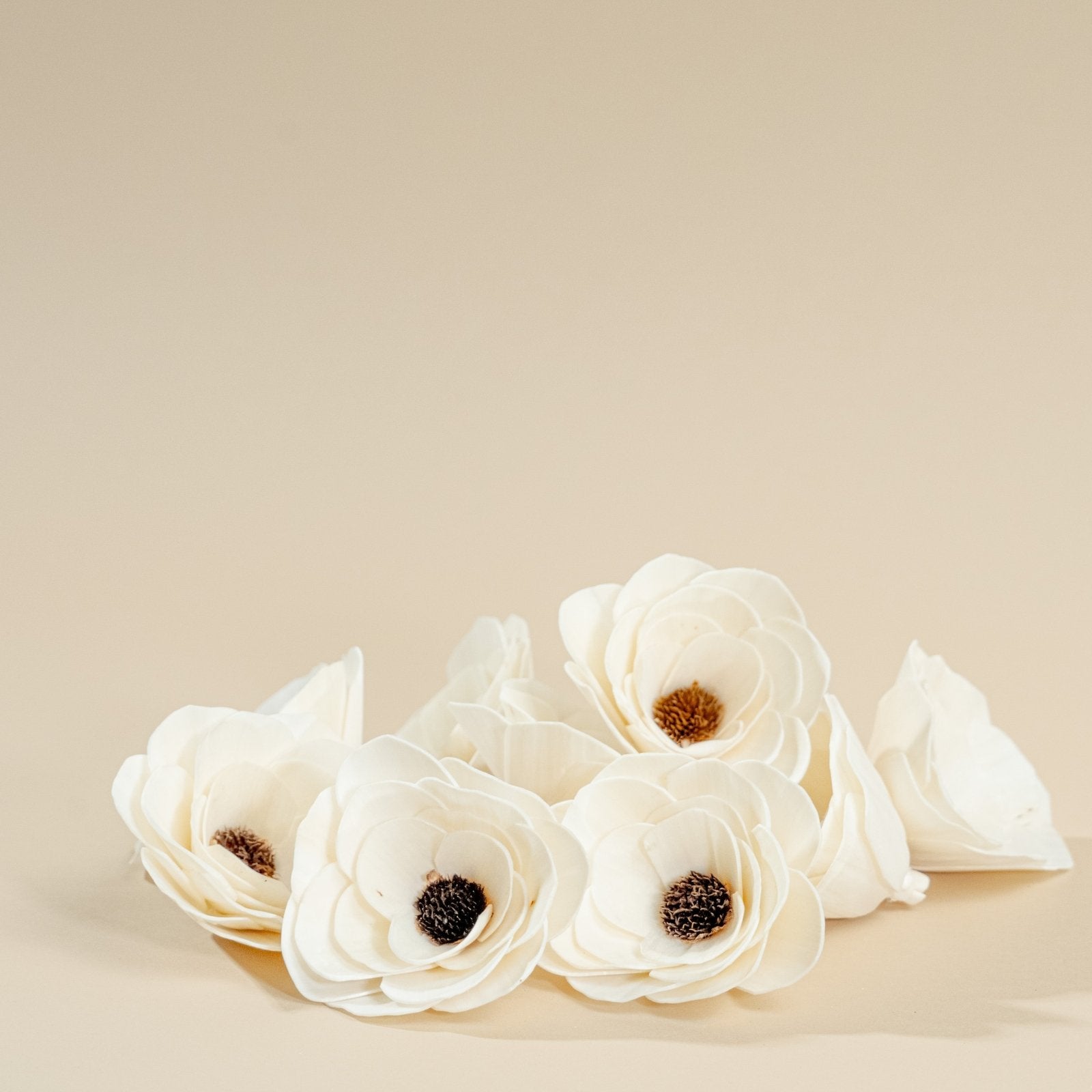 4" Anemone (10 Pack) – Sola Wood Flowers