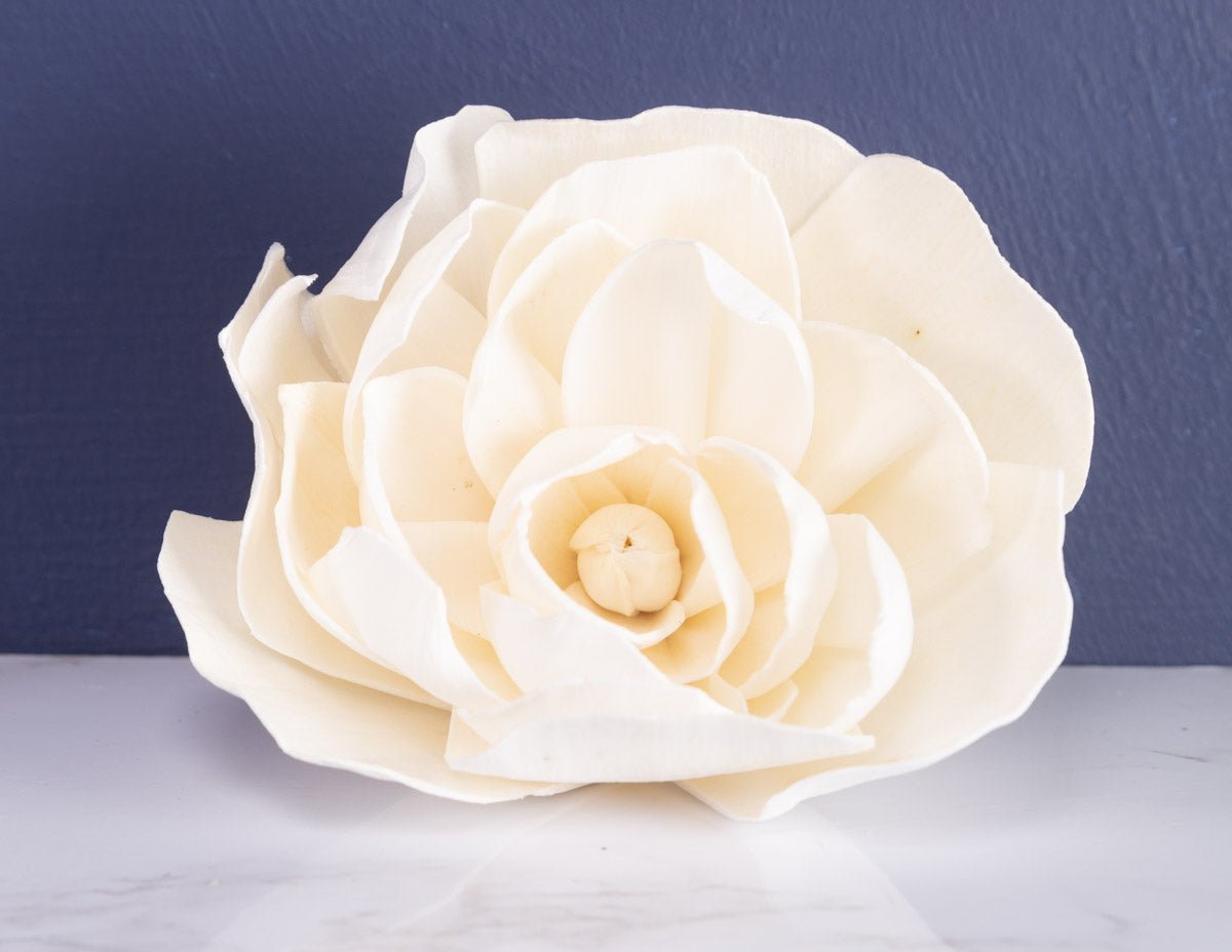 4" Bartzella Peony (10 Pack) – Sola Wood Flowers