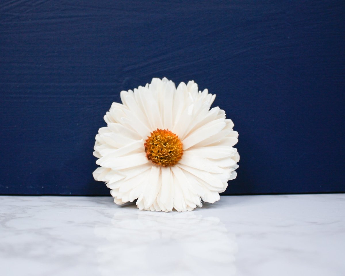 4" Classic Daisy (10 Pack) – Sola-Flowers