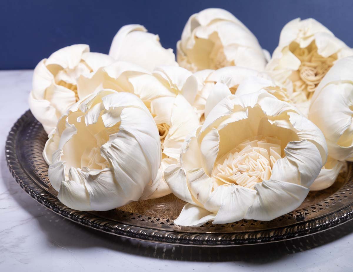 Sola Wood Flowers – Sola-Flowers