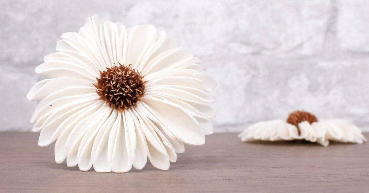 4" Gerbera Daisy (10 Pack) – Sola-Flowers