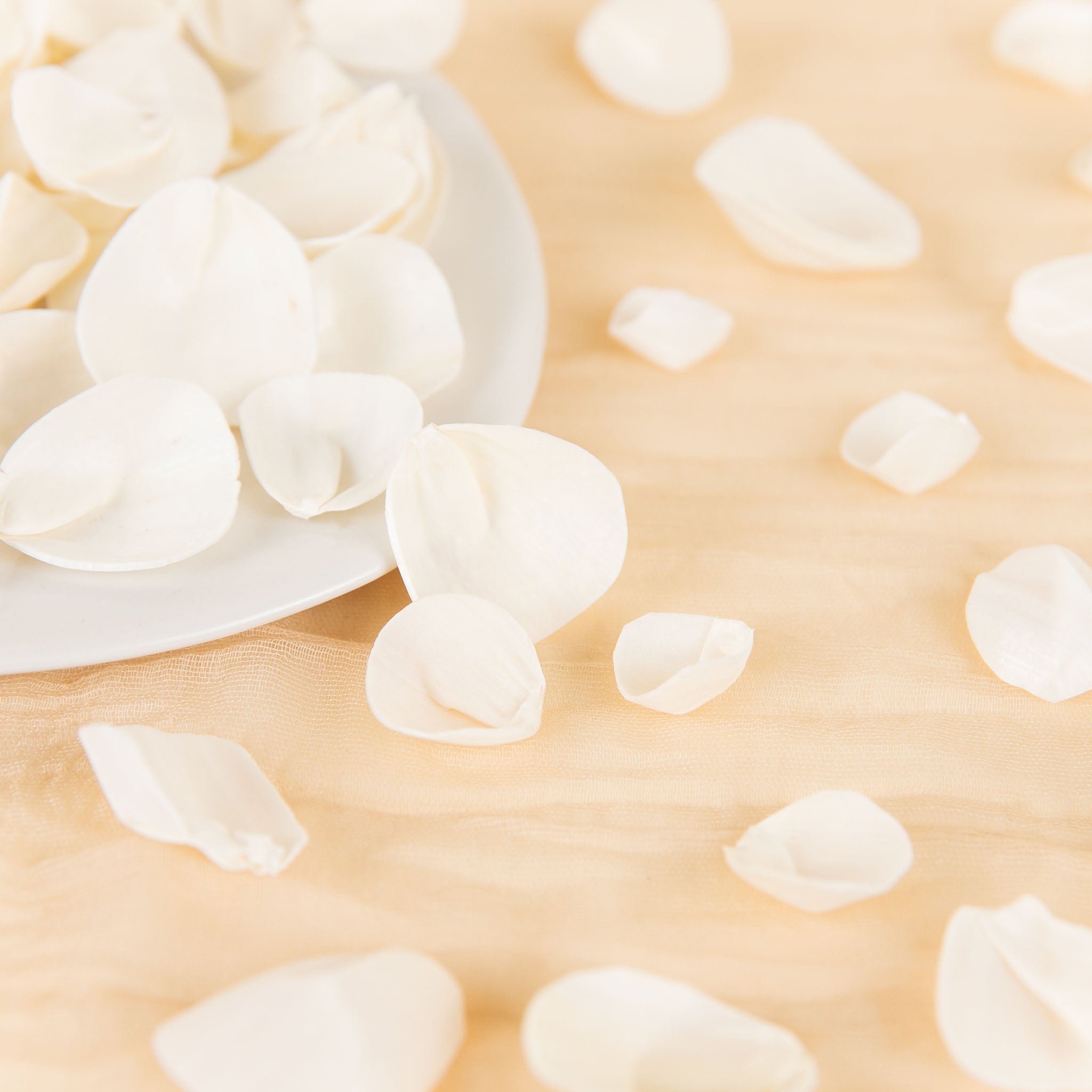 100 Petal Pack - Loretta – Sola Wood Flowers