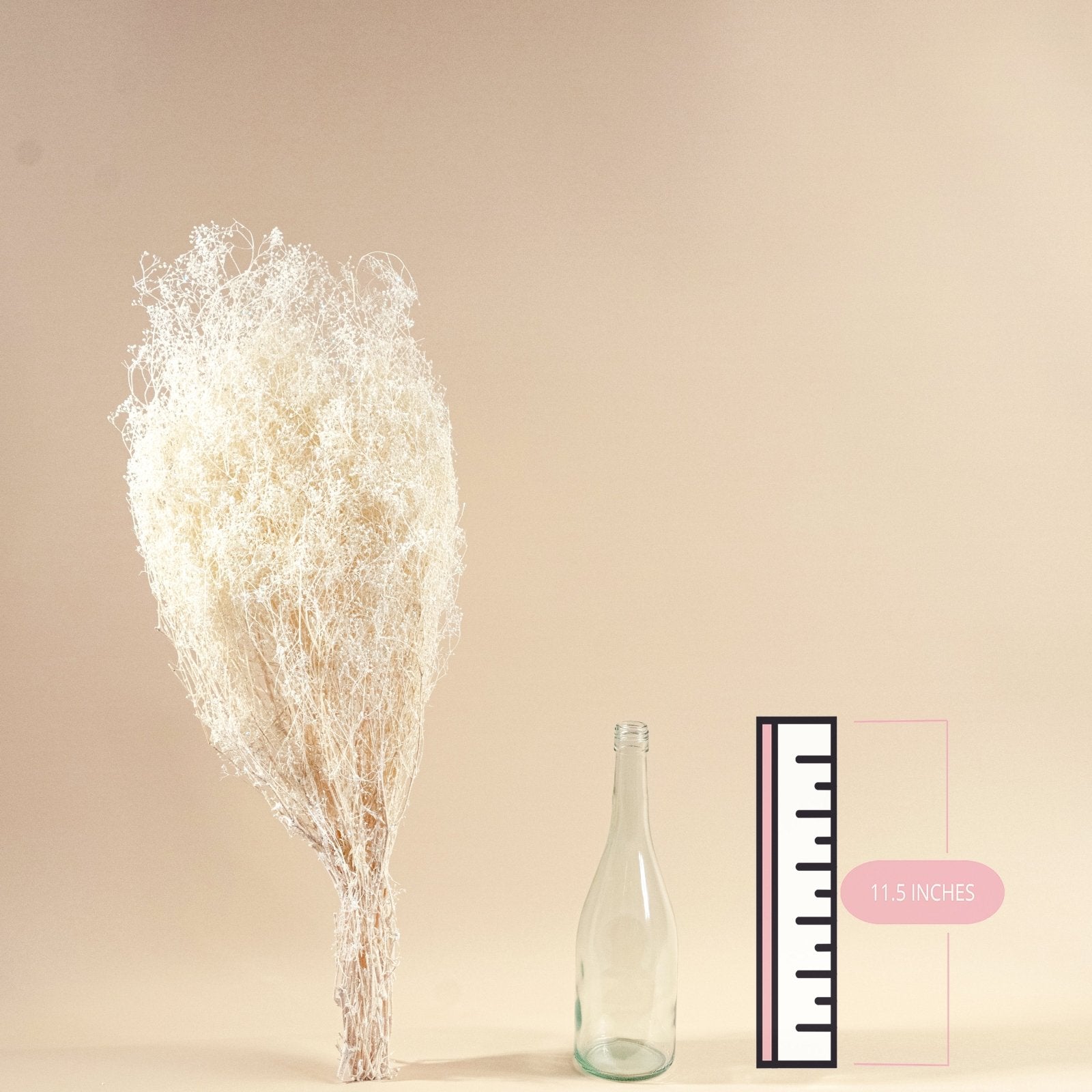 Baby's Breath (White Sparkle) - Sample – Sola Wood Flowers