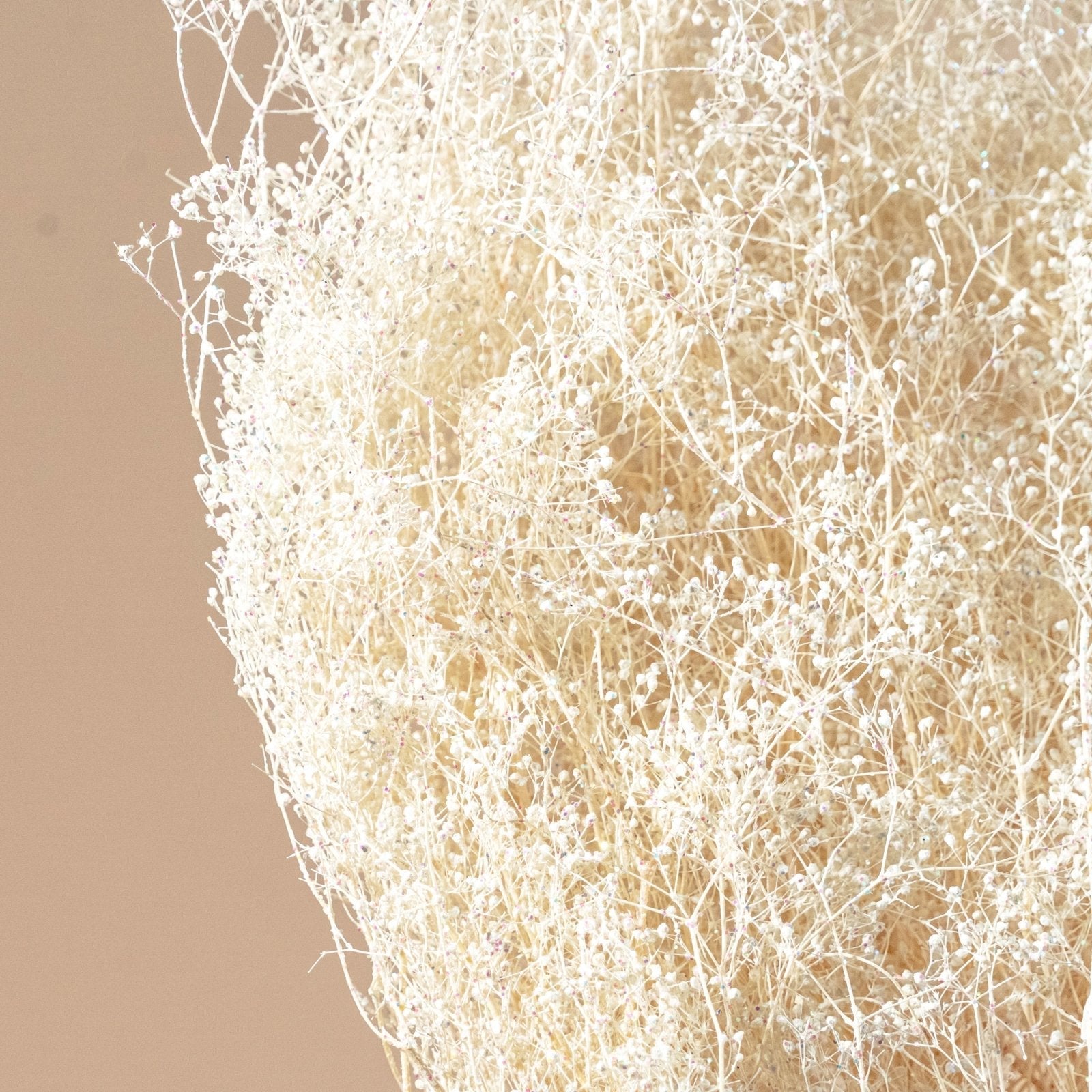 Baby's Breath (White Sparkle) - Sample – Sola Wood Flowers