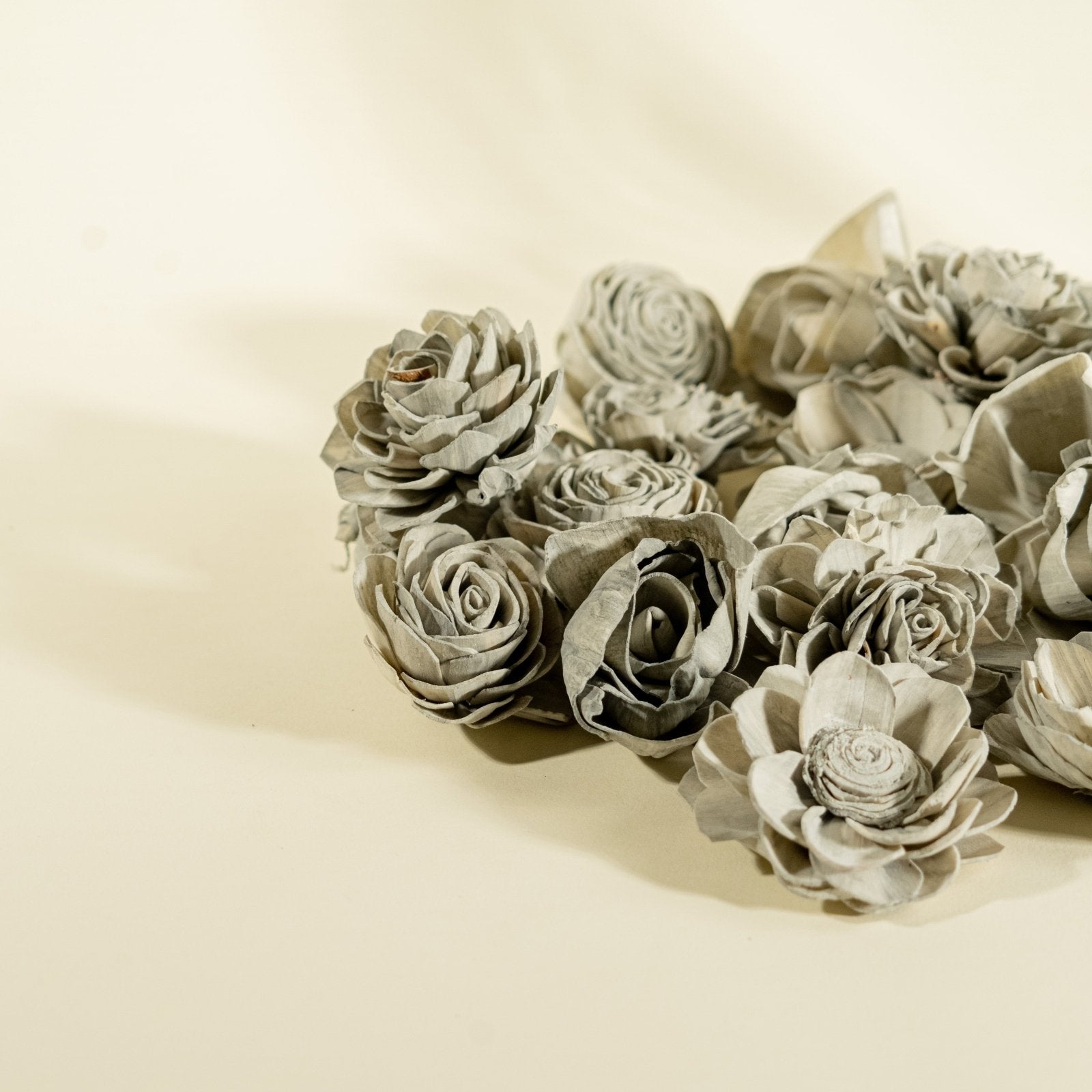 Basalt Assortment – Sola-Flowers