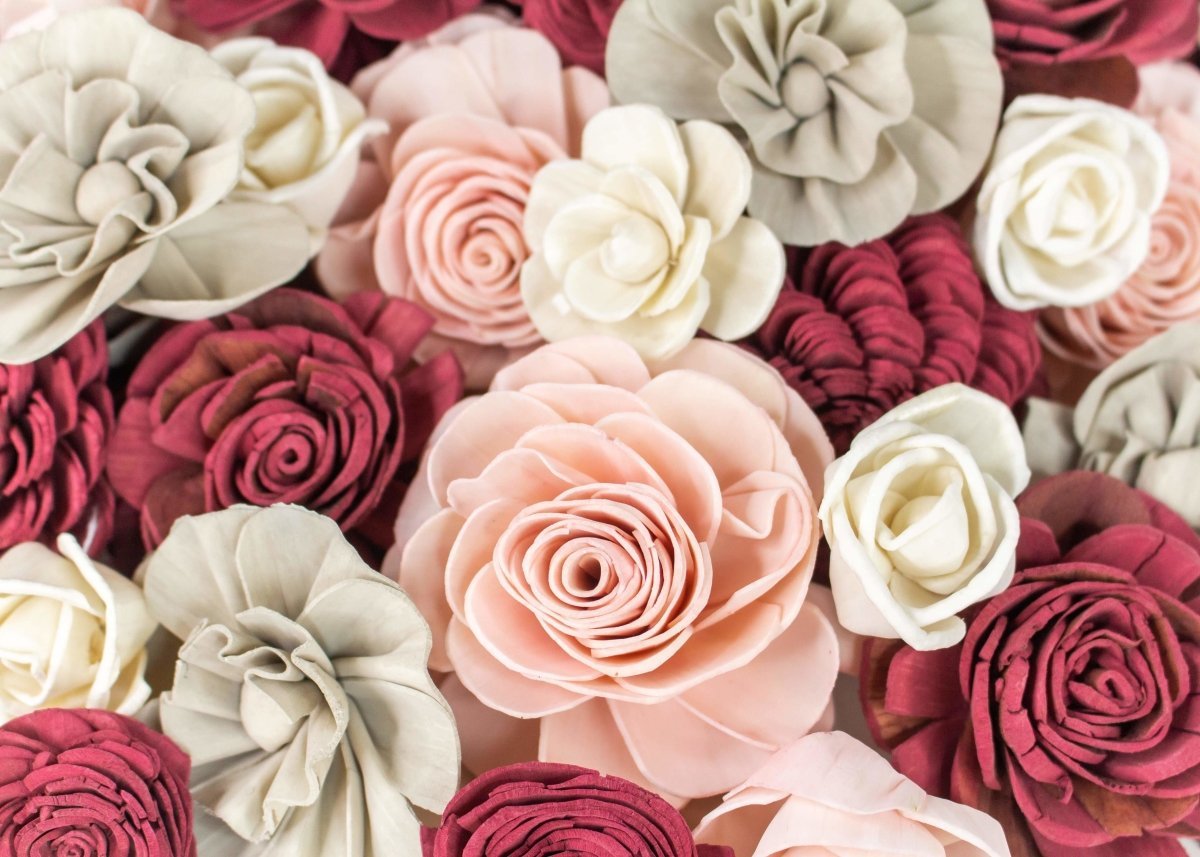 Bashful Bliss Assortment – Sola-Flowers