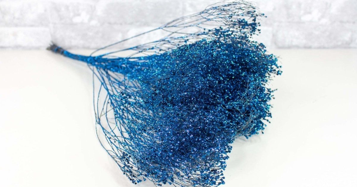 Broom Bloom - Icy Sparkle – Sola-Flowers