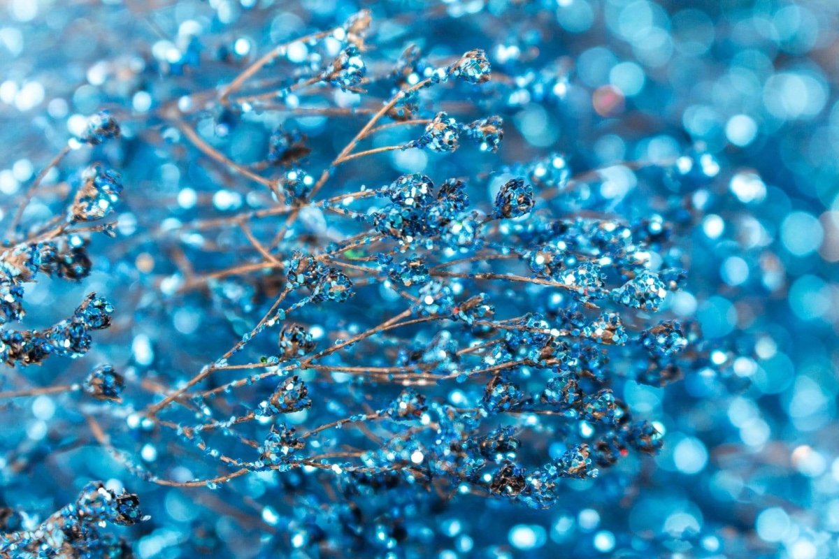 Broom Bloom - Icy Sparkle – Sola-Flowers