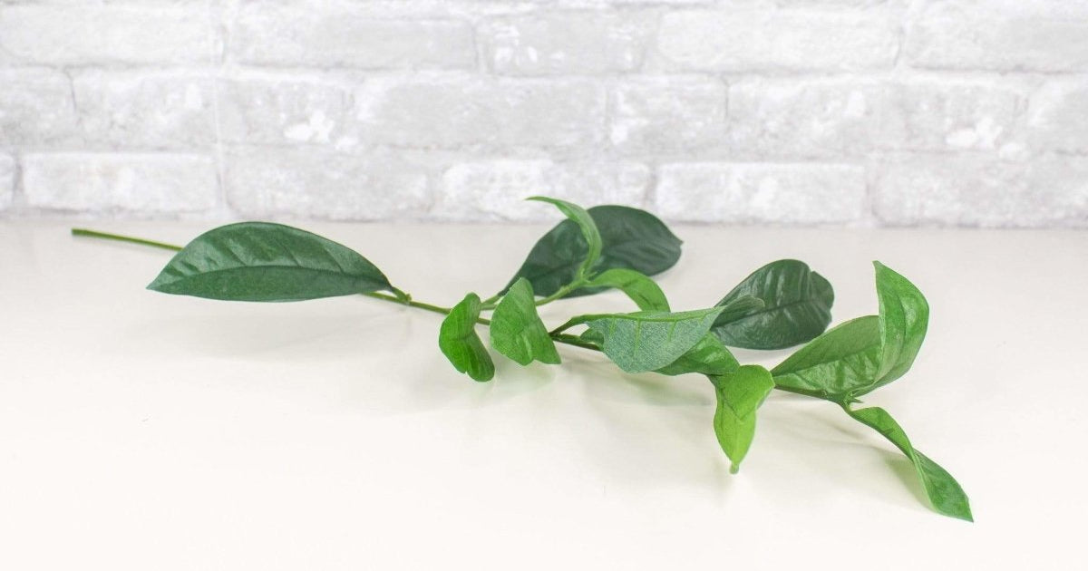 Croton Spray – Sola-Flowers