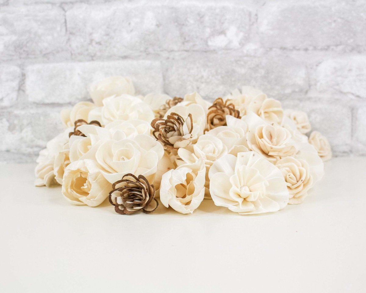 Cutie Pie Assortment – Sola-Flowers