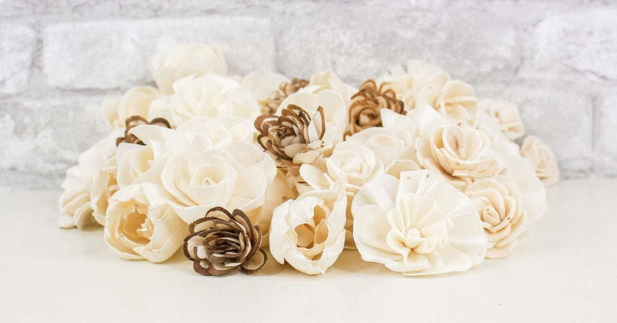 Cutie Pie Assortment – Sola-Flowers