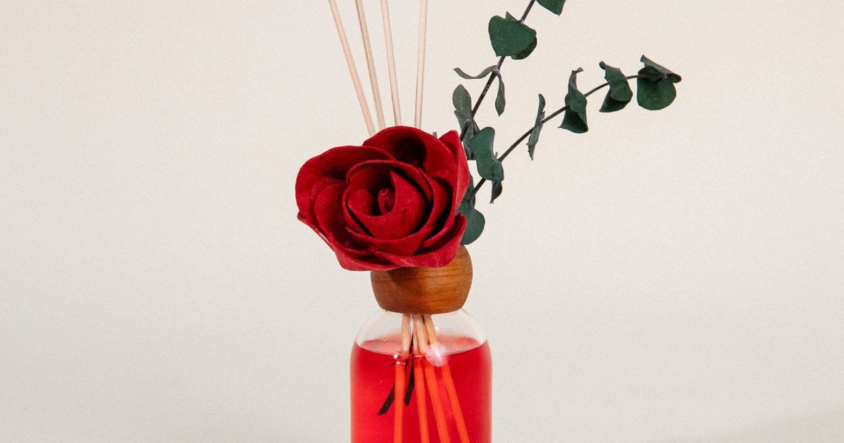 DIY Diffuser Pack – Sola-Flowers