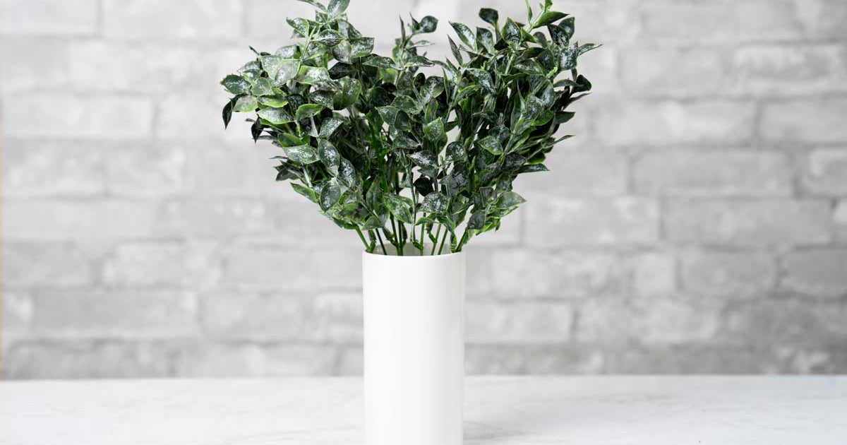 Faux Isreali Ruscus - Deep Green – Sola Wood Flowers