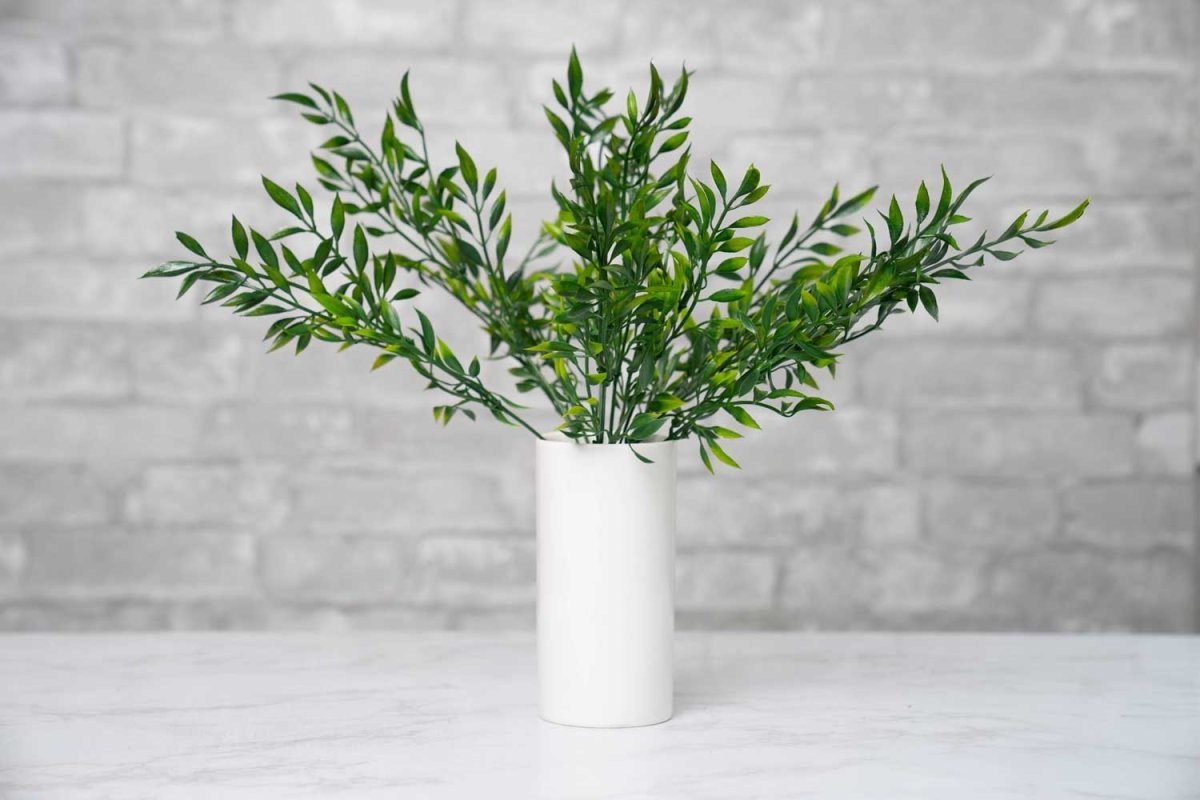 Faux Italian Ruscus - Green – Sola-Flowers