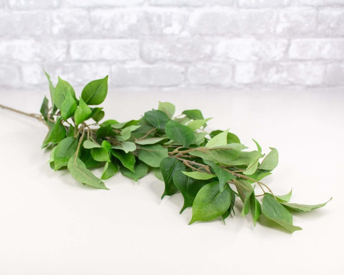 Ficus Spray - Green – Sola-Flowers