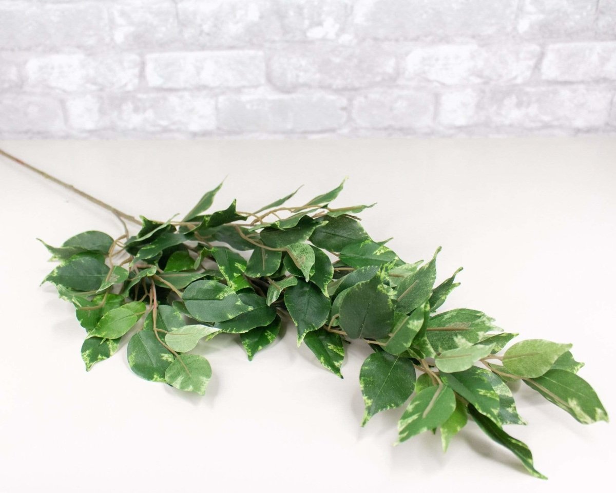 Greenery – Sola-Flowers