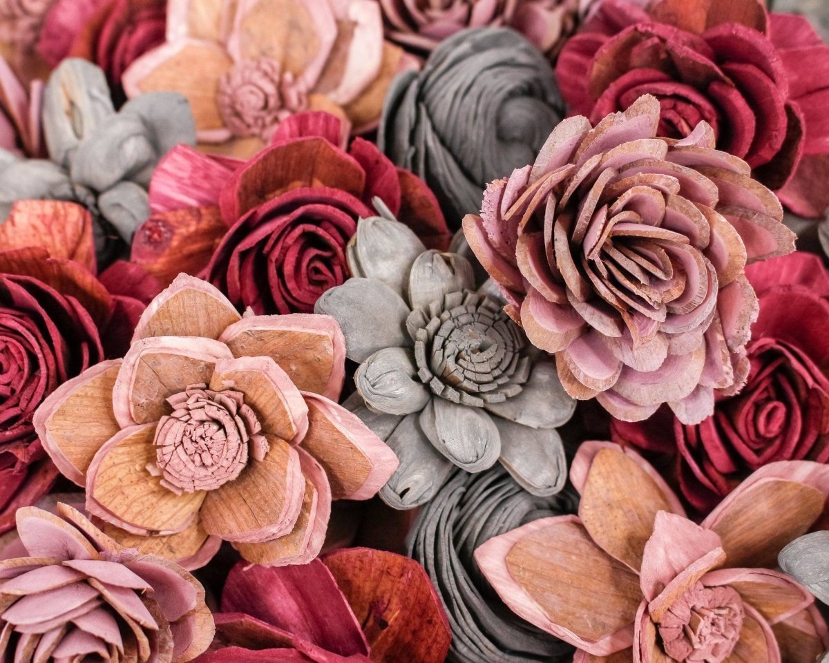 What Is Sola Wood? - Sola Wood Flowers – Sola-Flowers
