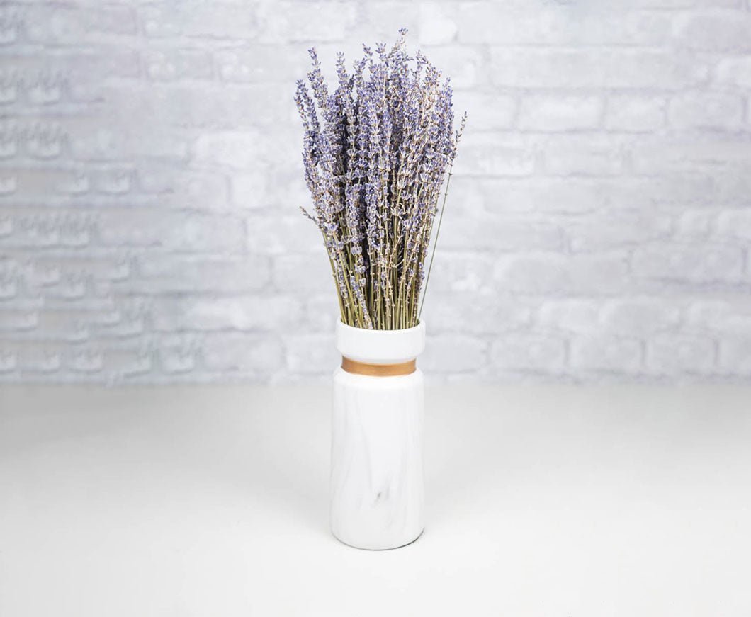 Greenery Sample Kit – Sola-Flowers