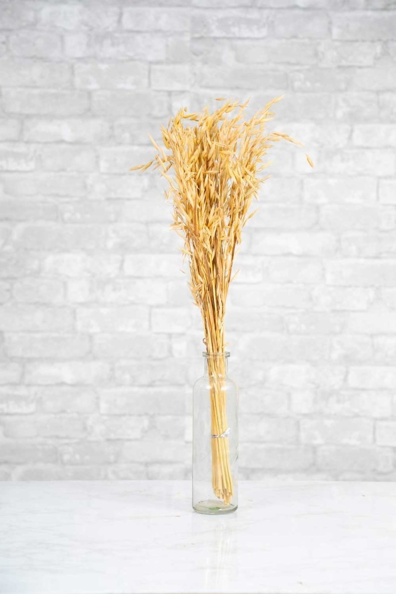 Havanah Grass – Sola Wood Flowers