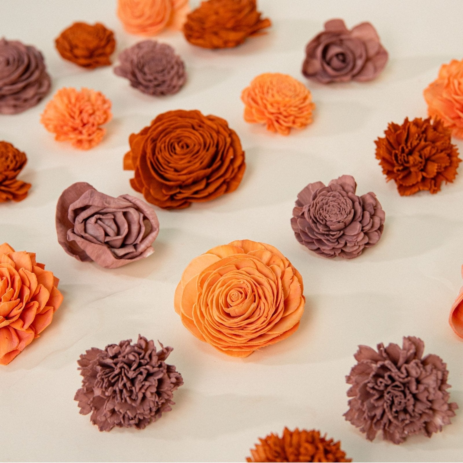 Luminous Dyed Assortment 25 Pack - No Bark – Sola-Flowers