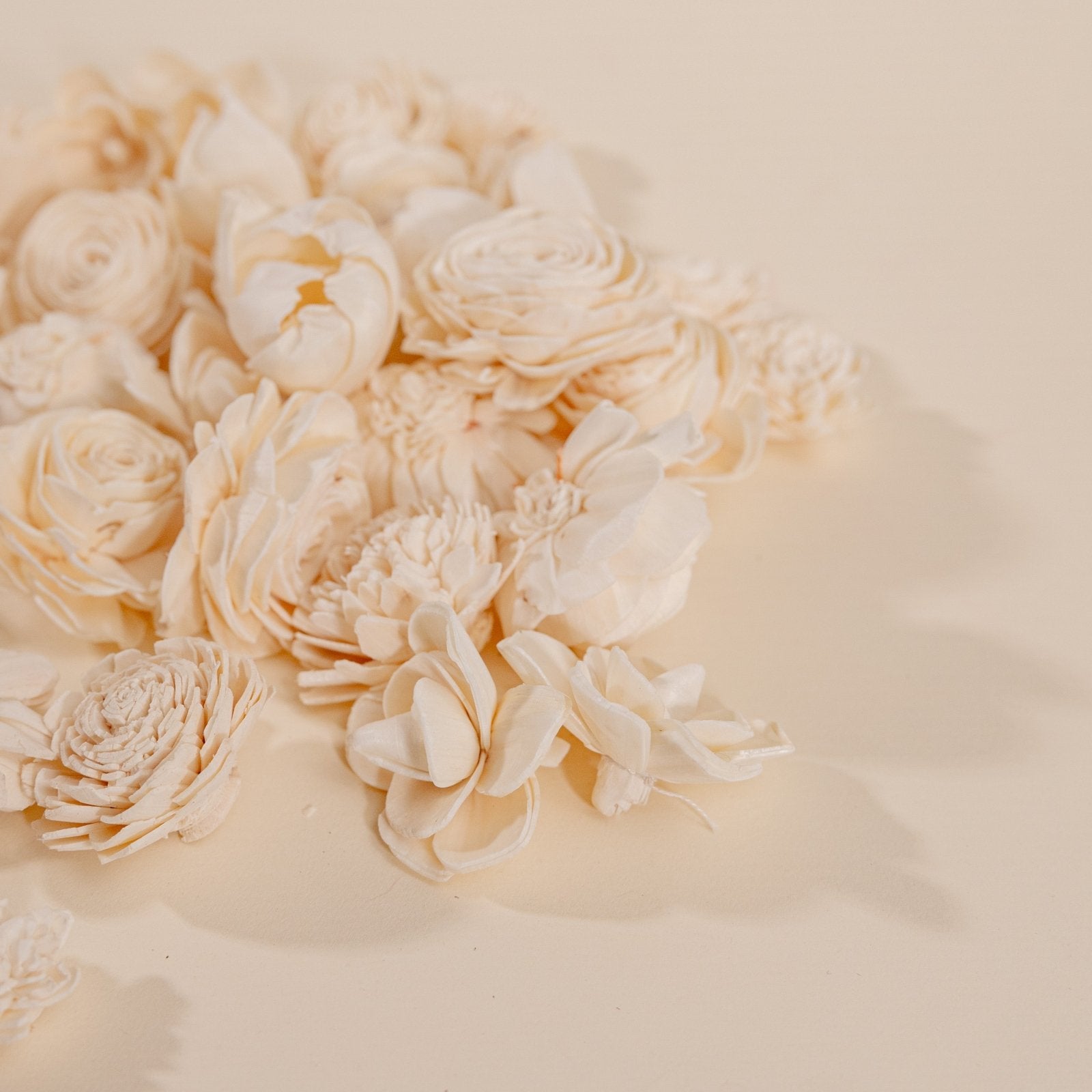 Mini Flower Assortment (150 Flowers) - No Bark – Sola-Flowers